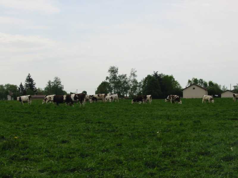Sud de la plaine de Bresse dont la vallée de la Veyle | Centre de ...