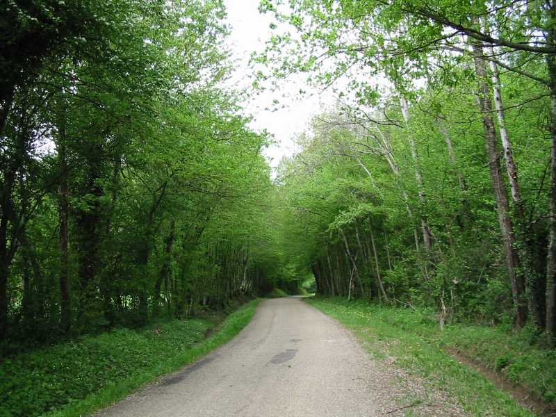 Sud de la plaine de Bresse dont la vallée de la Veyle | Centre de ...